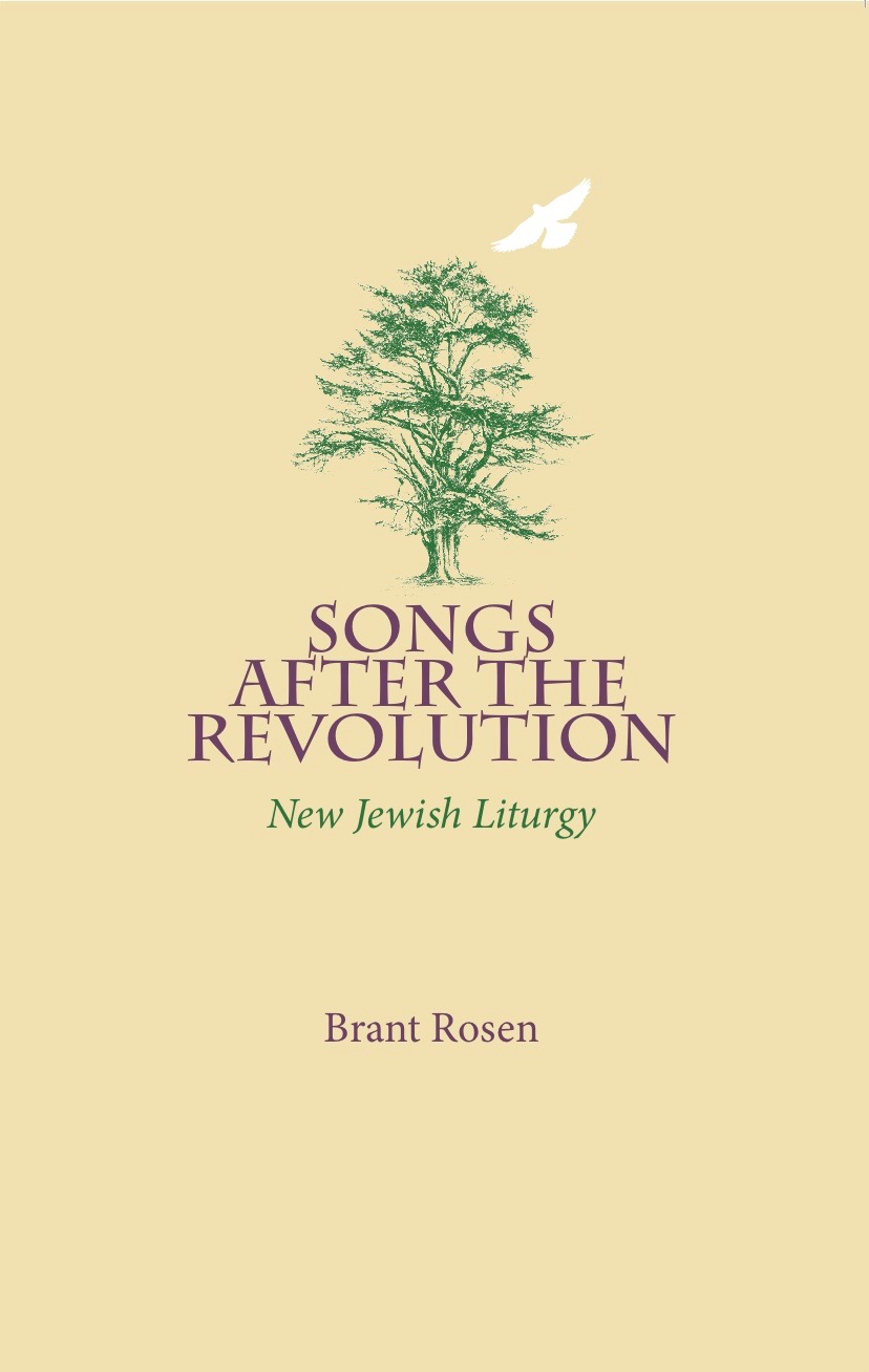 Shalom Rav | A Blog by Rabbi Brant Rosen